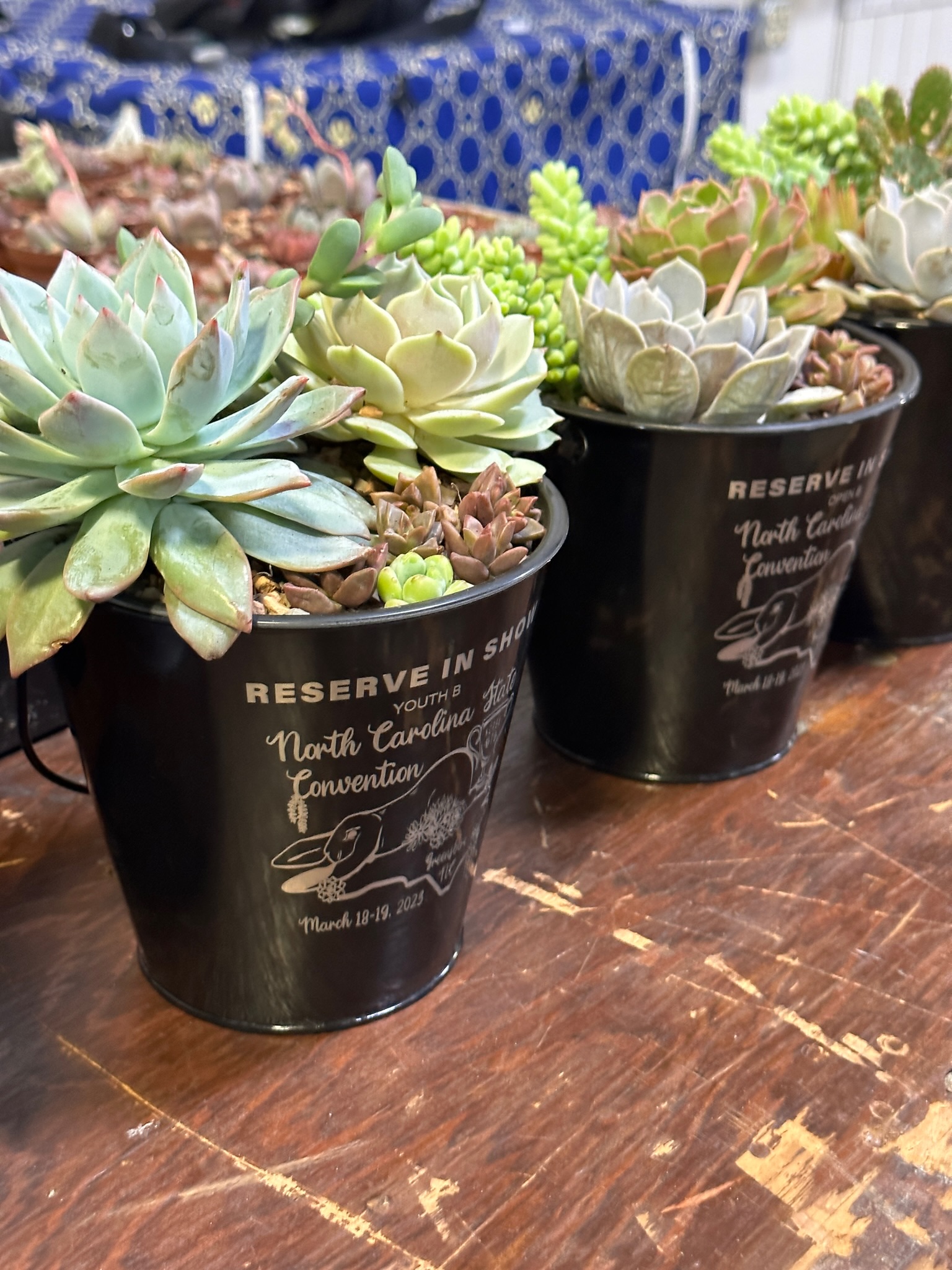 IMG_2548 – PM Graphix