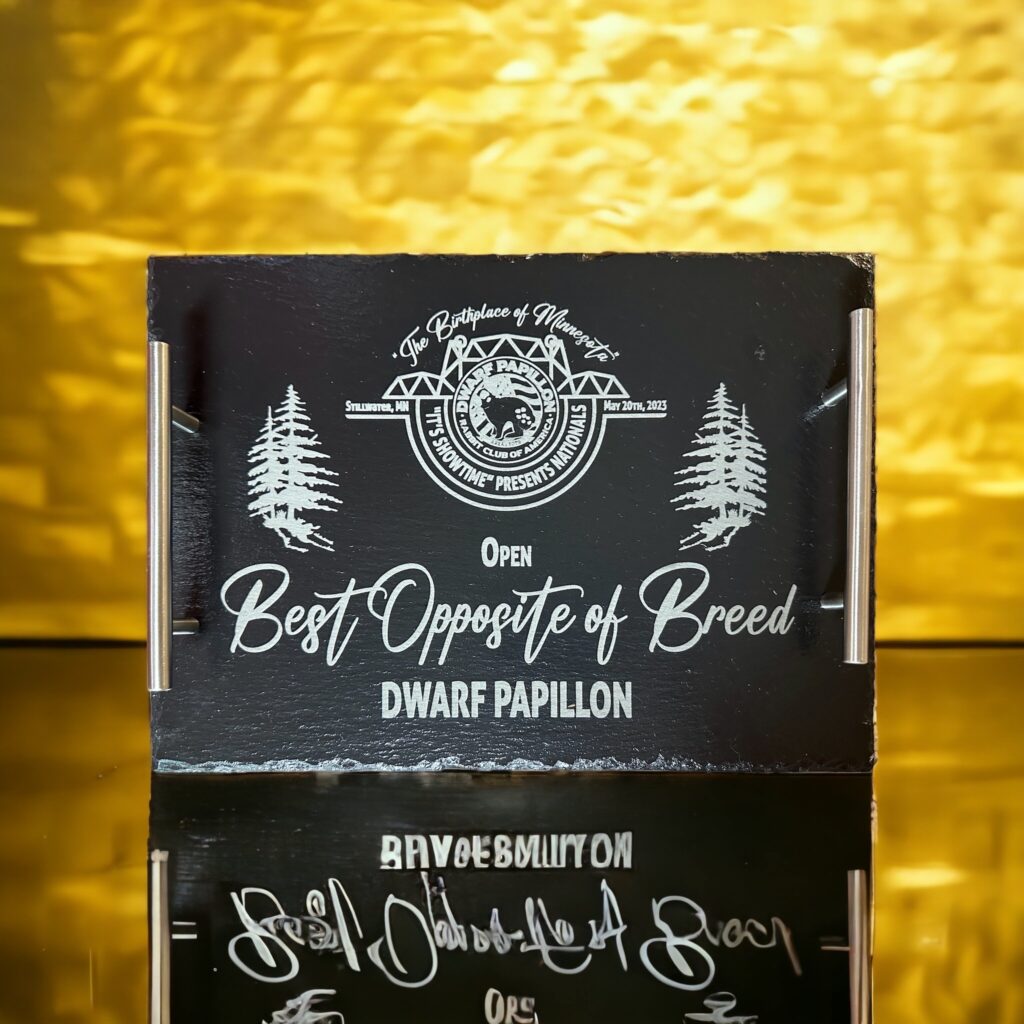 PhotoRoom_20230523_104533 – PM Graphix